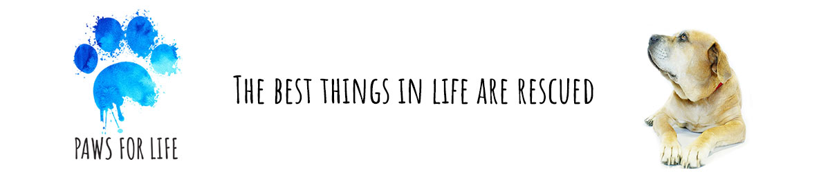 Contact Us - Paws For Life K9 Rescue