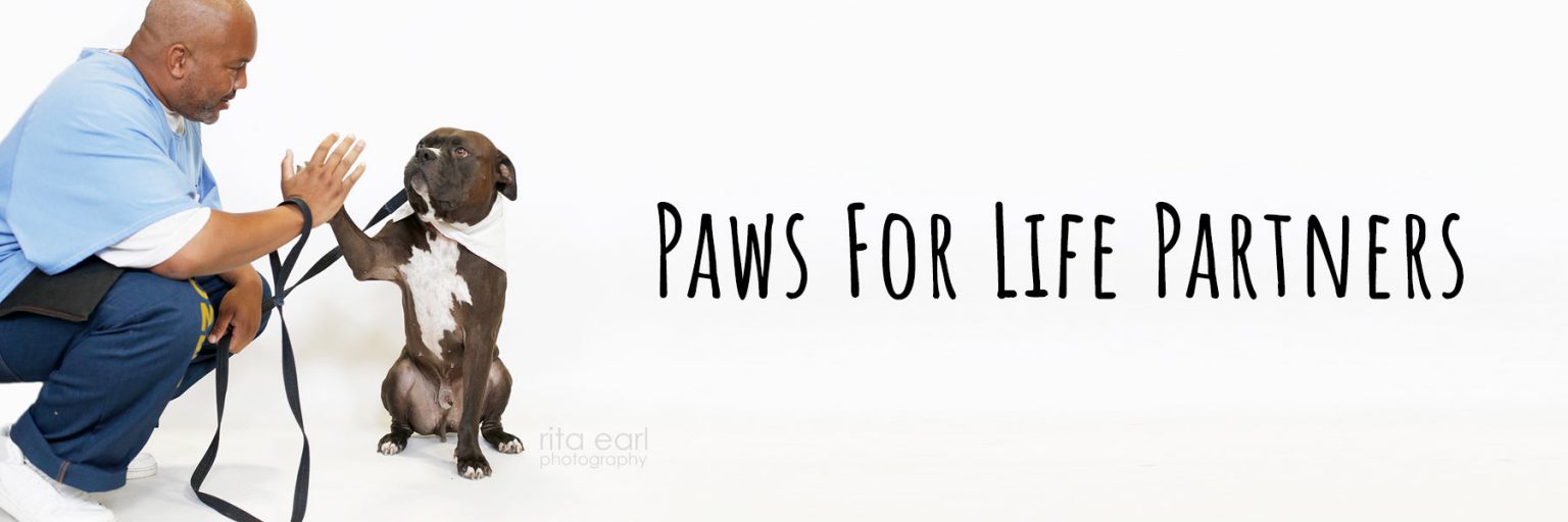 Partners - Paws For Life K9 Rescue
