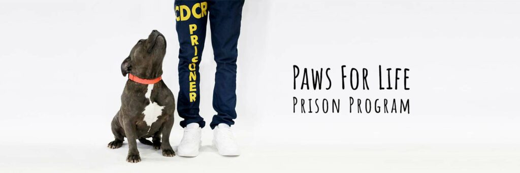 Paws For Life K9 Rescue | Paws For Life Prison Program
