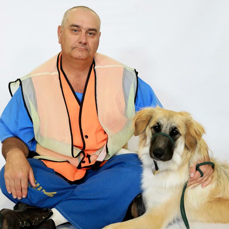 David R. - Paws For Life K9 Rescue