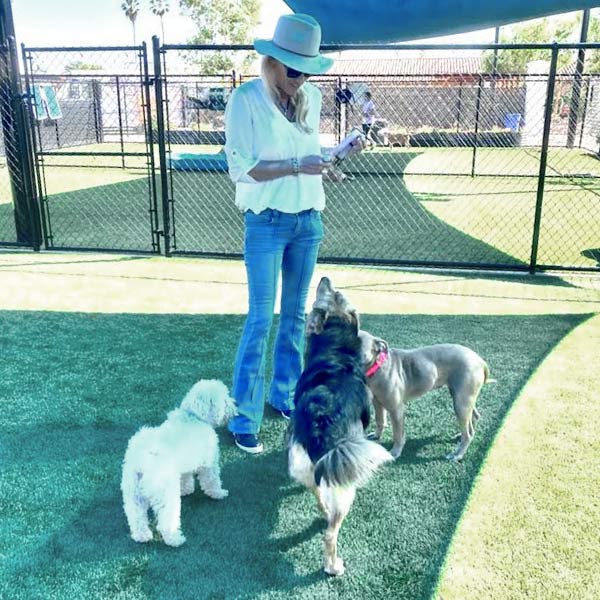 Volunteer To Help - Paws For Life K9 Rescue