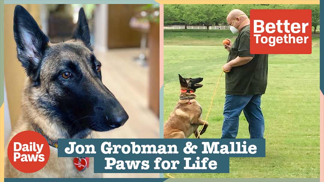 Press/Media - Paws For Life K9 Rescue