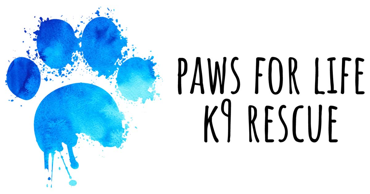 Paws For Life K9 Rescue - Paws For Life Prison Program